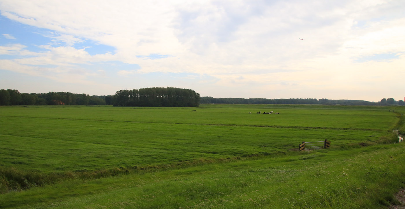 Cycling from Amsterdam to the Countryside — What to Expect | Biking ...